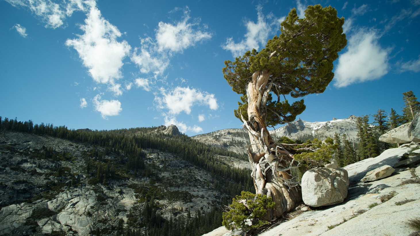 Central Park Conservancy Film Festival: America’s National Parks ...